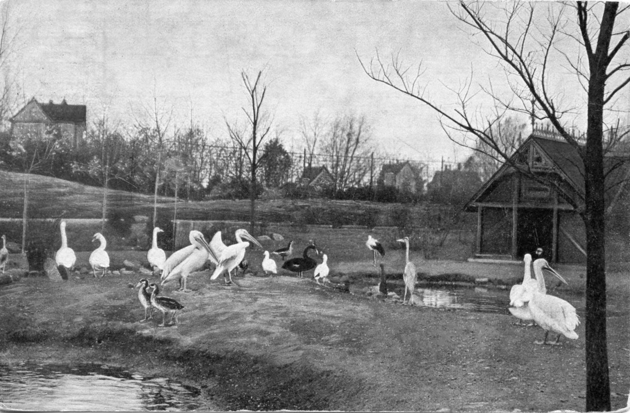 Zoo Backgrounder - Milwaukee County Zoo