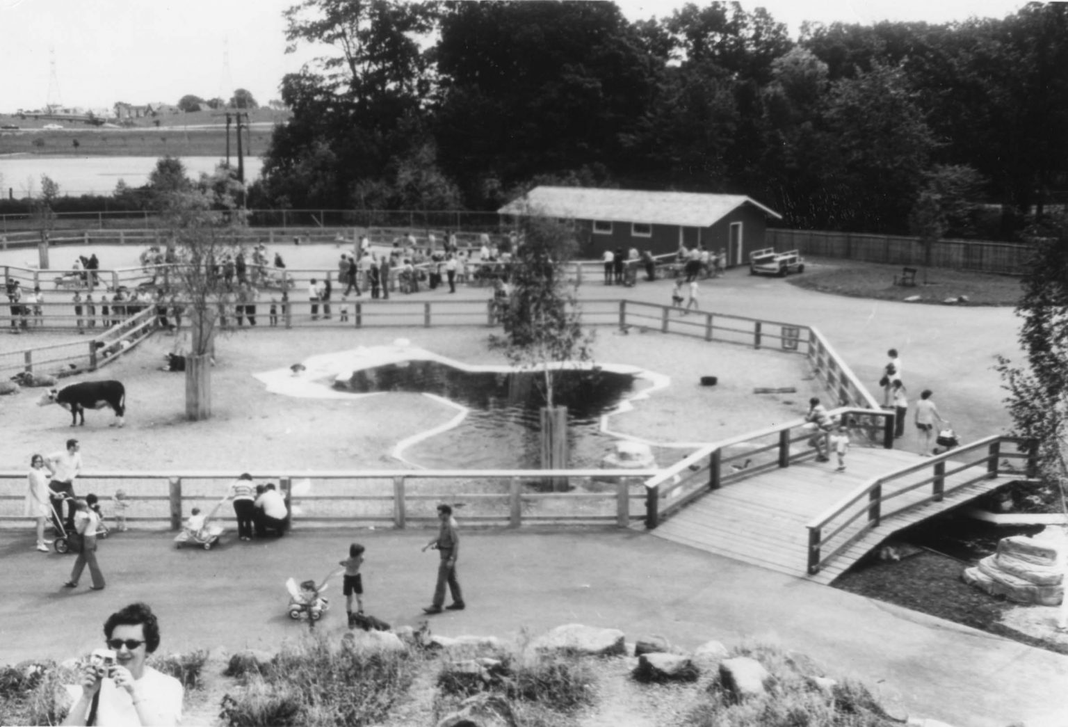 Zoo Backgrounder - Milwaukee County Zoo