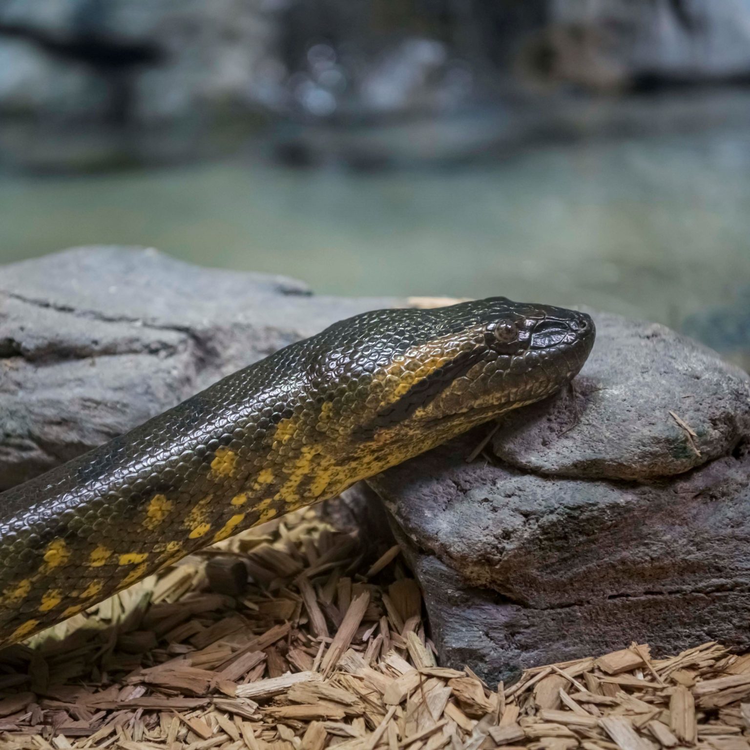 Home - Milwaukee County Zoo