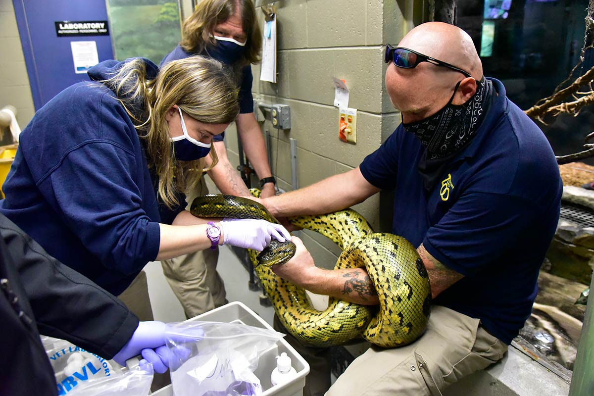Animal Care - Milwaukee County Zoo