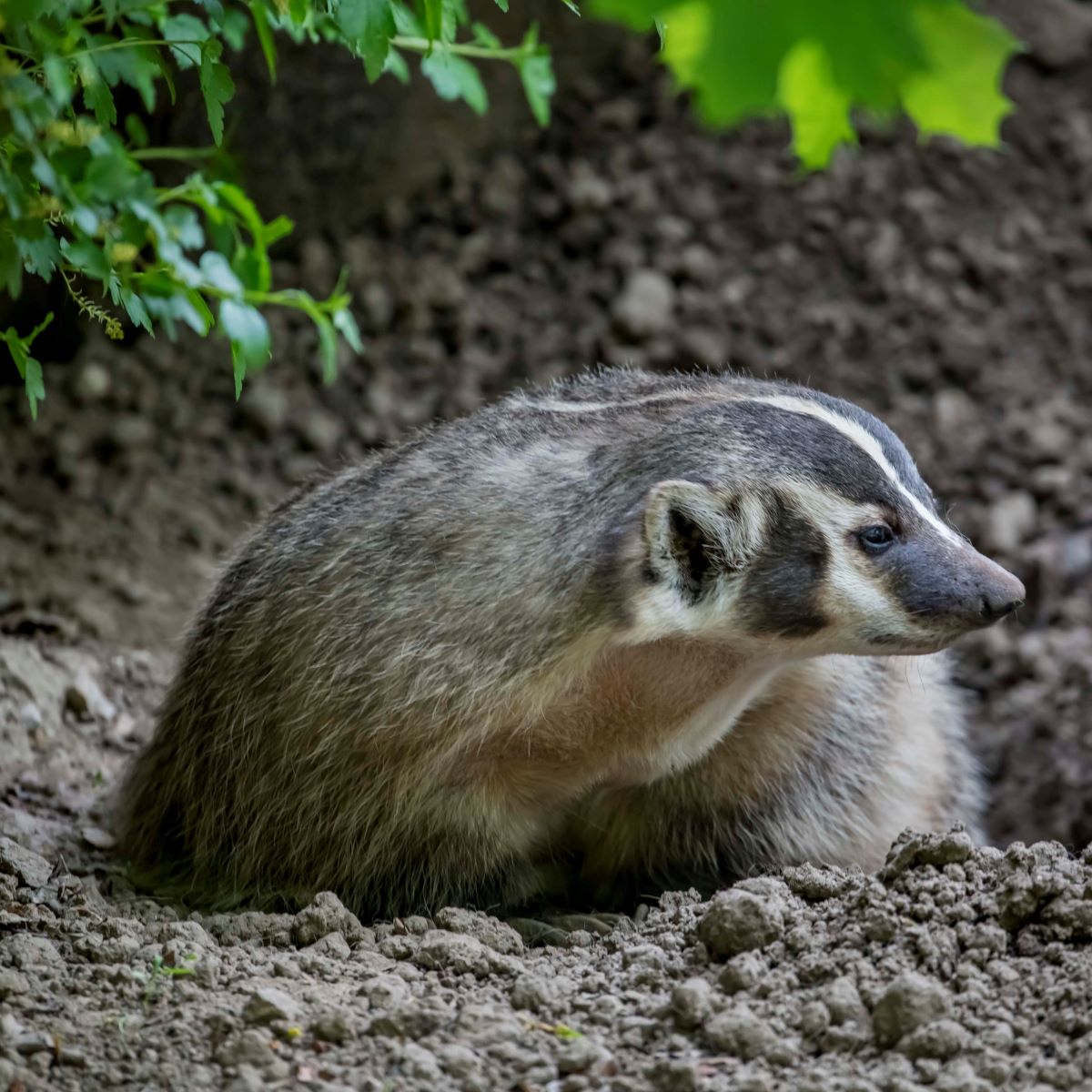 Home - Milwaukee County Zoo