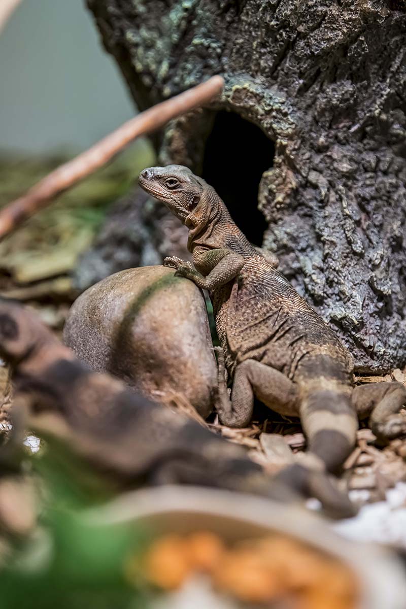 Our Blog - Milwaukee County Zoo