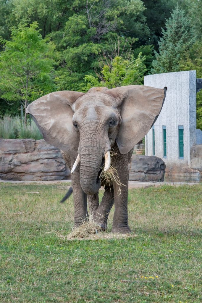 Wild Connections - Milwaukee County Zoo
