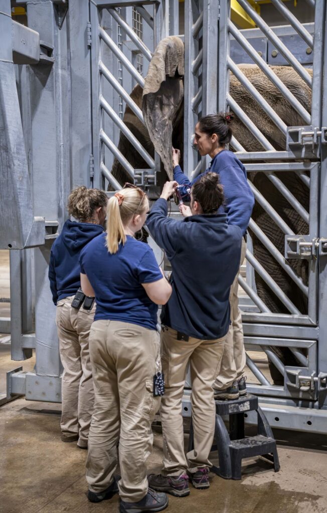 Milwaukee County Zoo Achieves AZA Accreditation - Milwaukee County Zoo