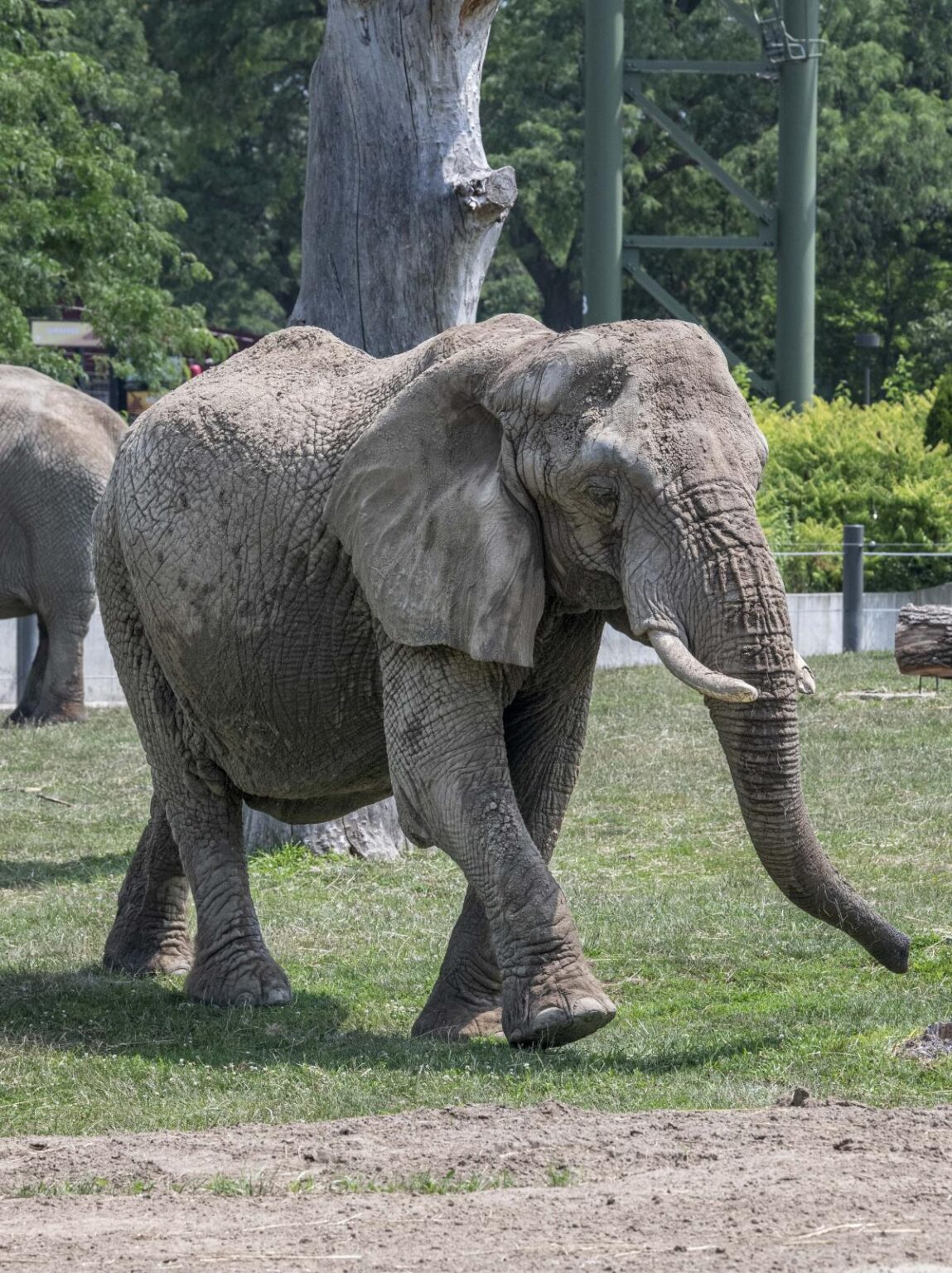 About Us - Milwaukee County Zoo