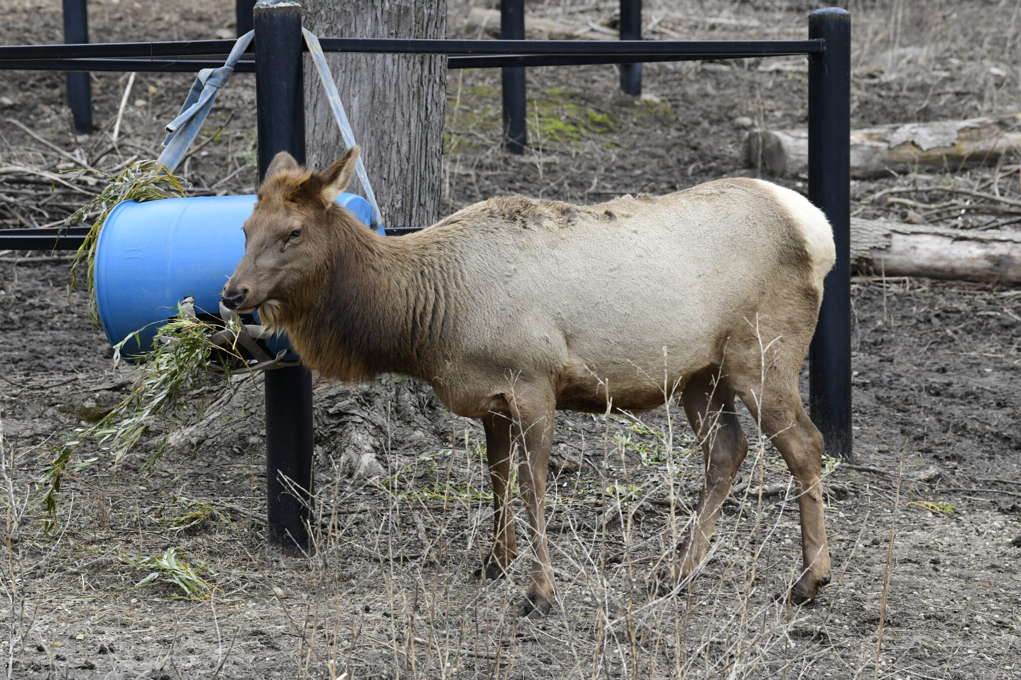 Visit - Milwaukee County Zoo