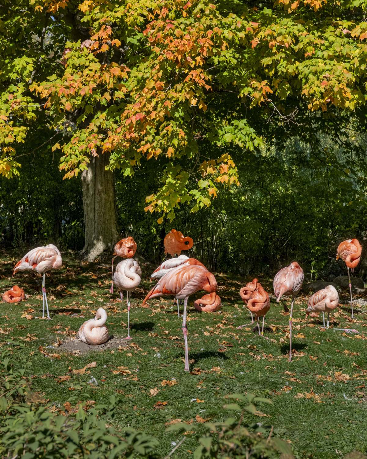 Family Free Day - October 4, 2025 - Milwaukee County Zoo