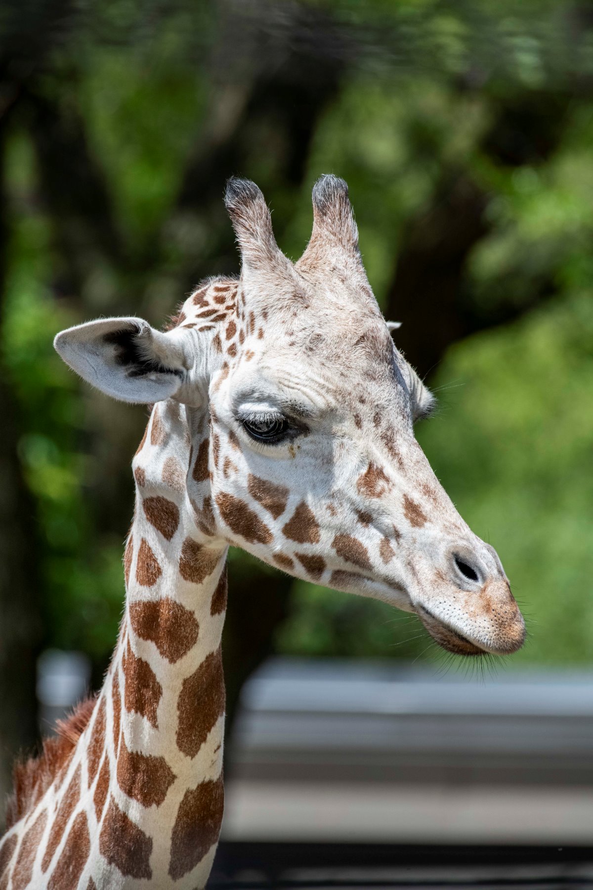 About Us - Milwaukee County Zoo