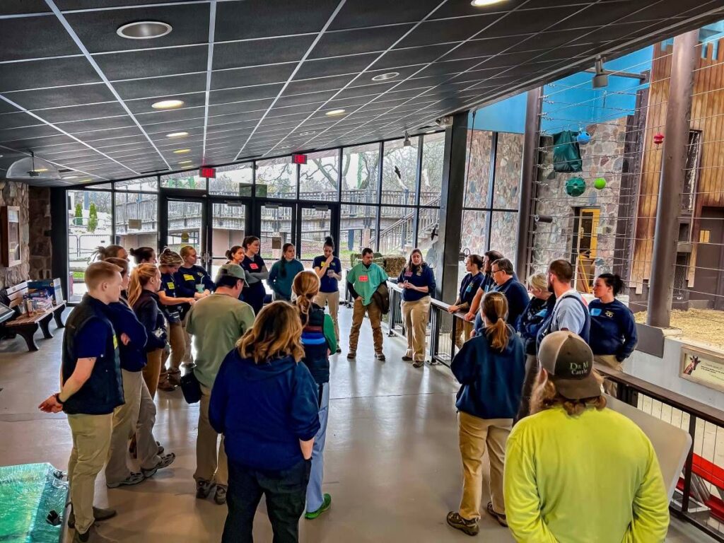 The Zoo Team Performs Novel Surgery on Giraffe Due to Unusual Breeding ...