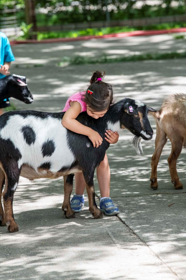 Activities - Milwaukee County Zoo