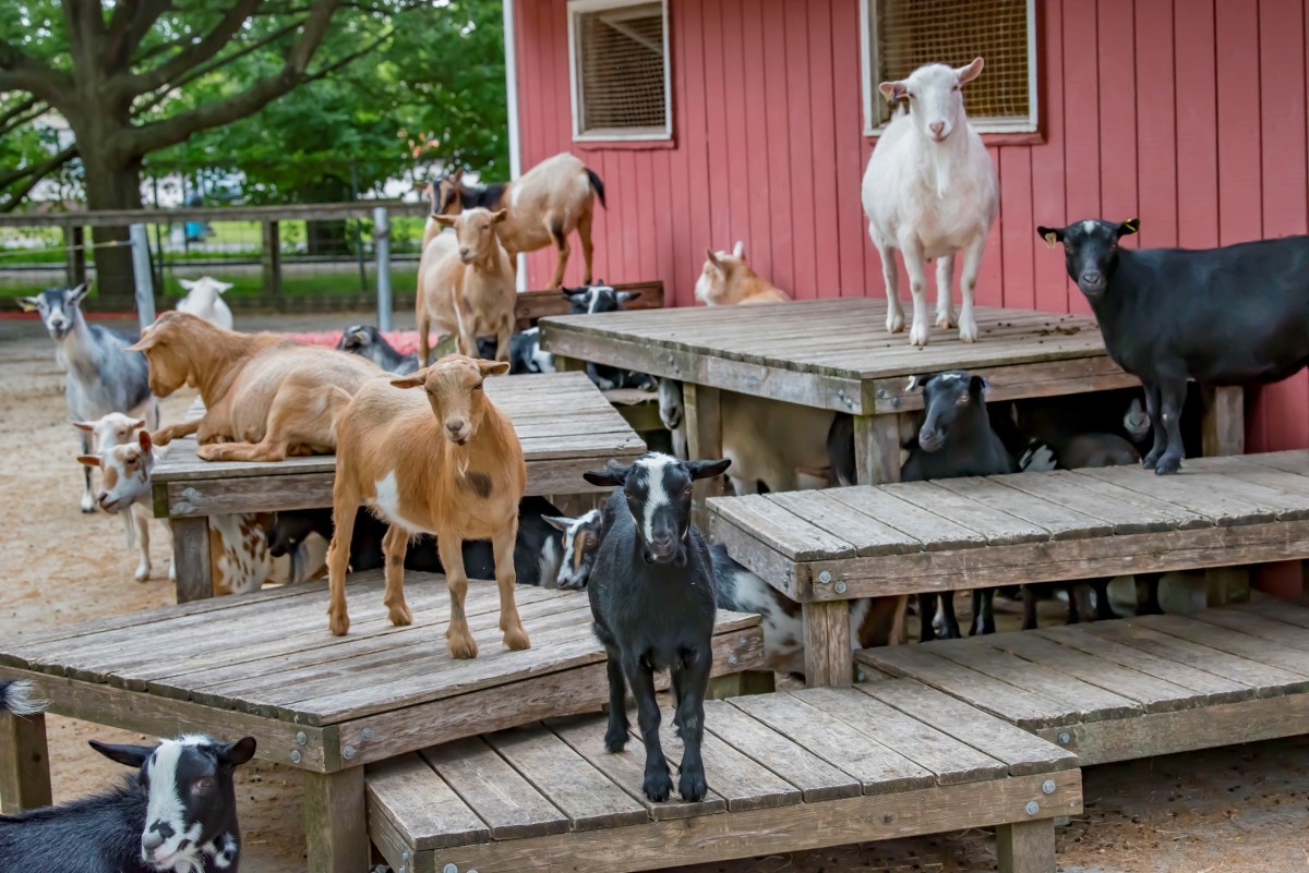 About Us - Milwaukee County Zoo