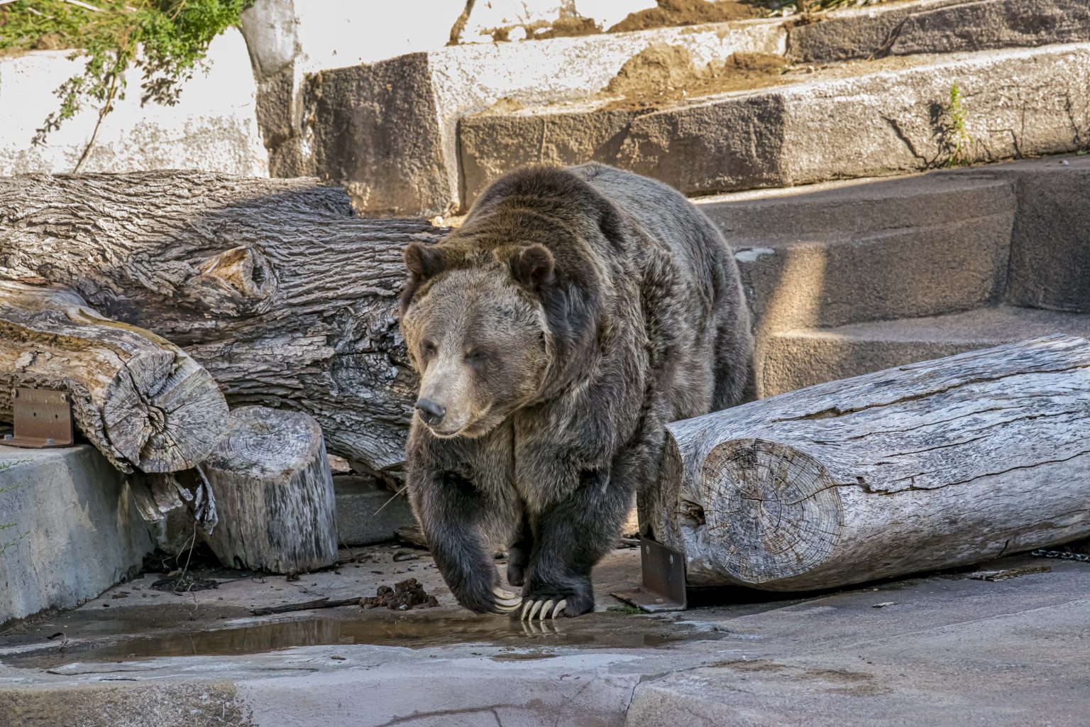 About Us - Milwaukee County Zoo