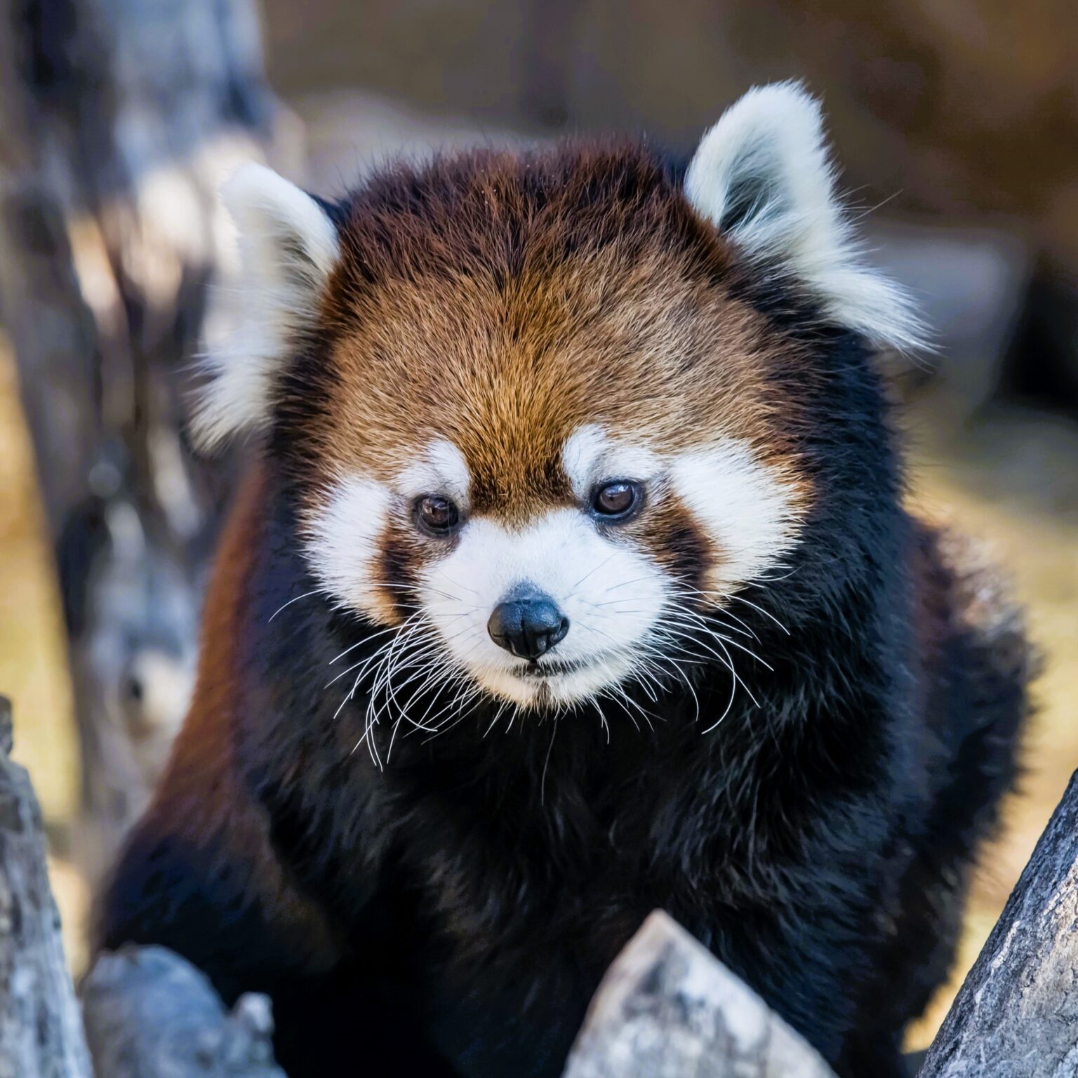 Home - Milwaukee County Zoo