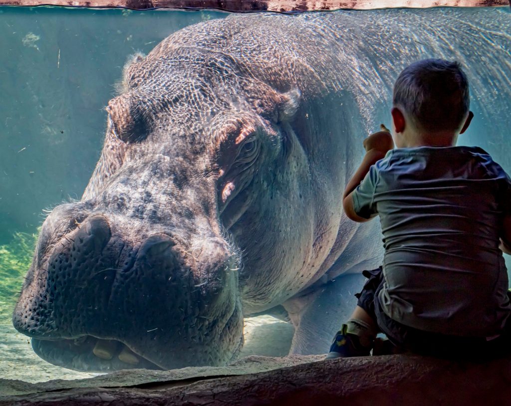 Visit - Milwaukee County Zoo