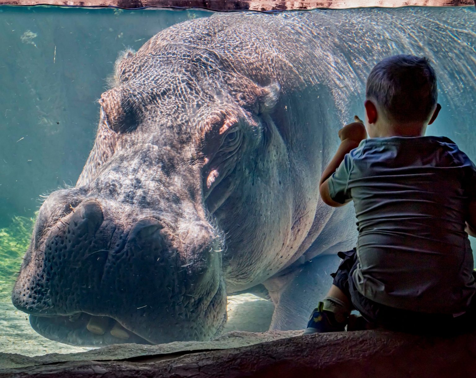 Visit - Milwaukee County Zoo