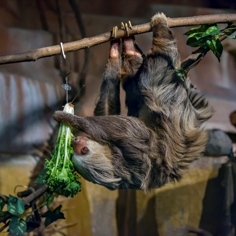 Home - Milwaukee County Zoo