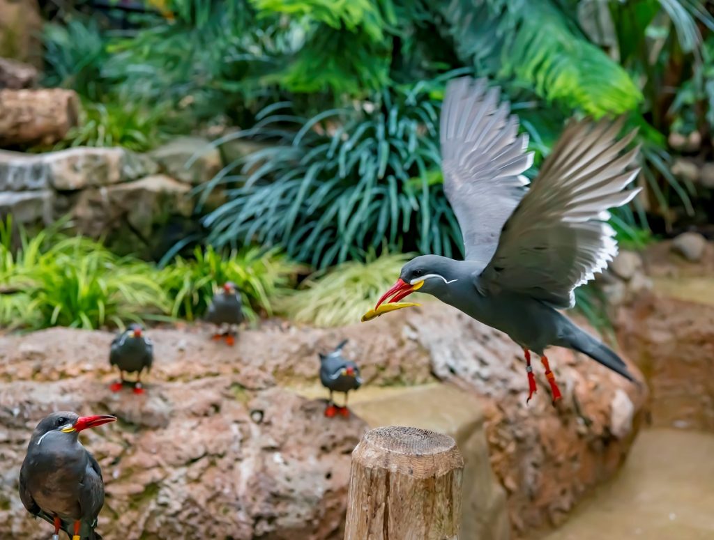 Wild Connections - Milwaukee County Zoo