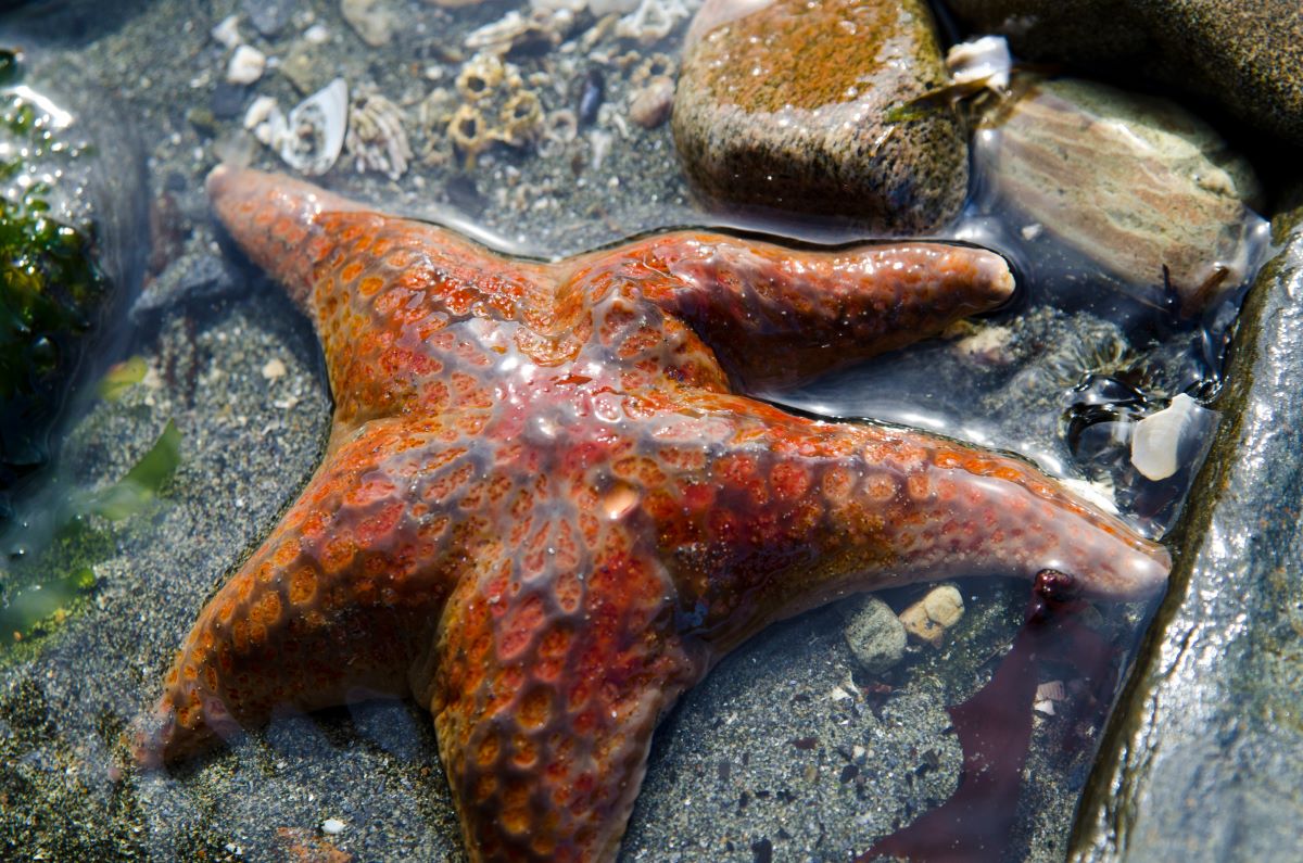 Meet Our Animals - Milwaukee County Zoo