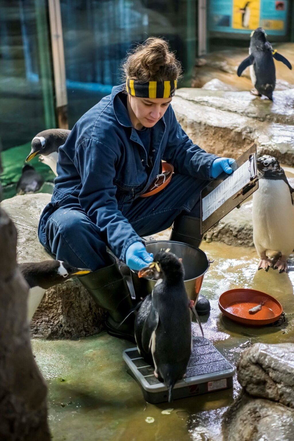 Milwaukee County Zoo Achieves AZA Accreditation - Milwaukee County Zoo