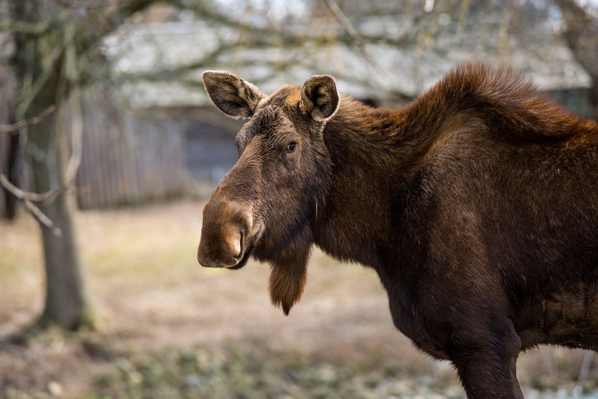 Wild Connections - Milwaukee County Zoo