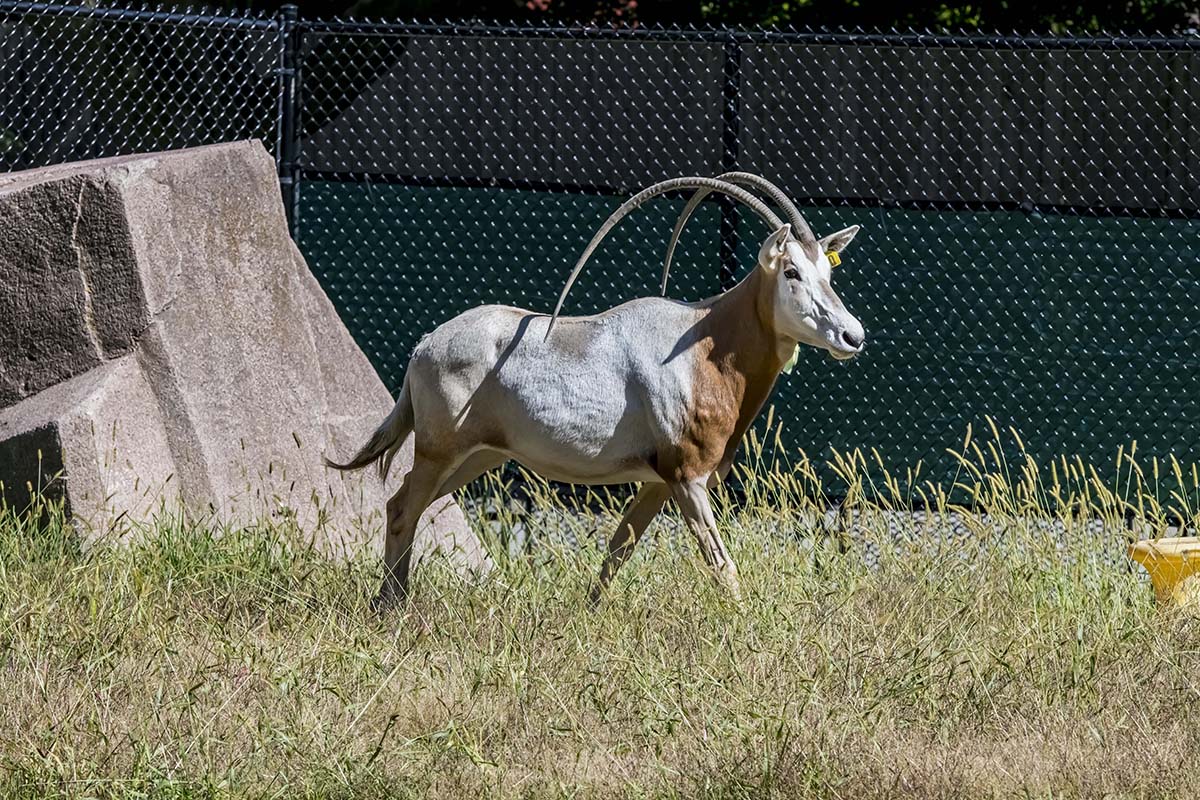 Visit - Milwaukee County Zoo