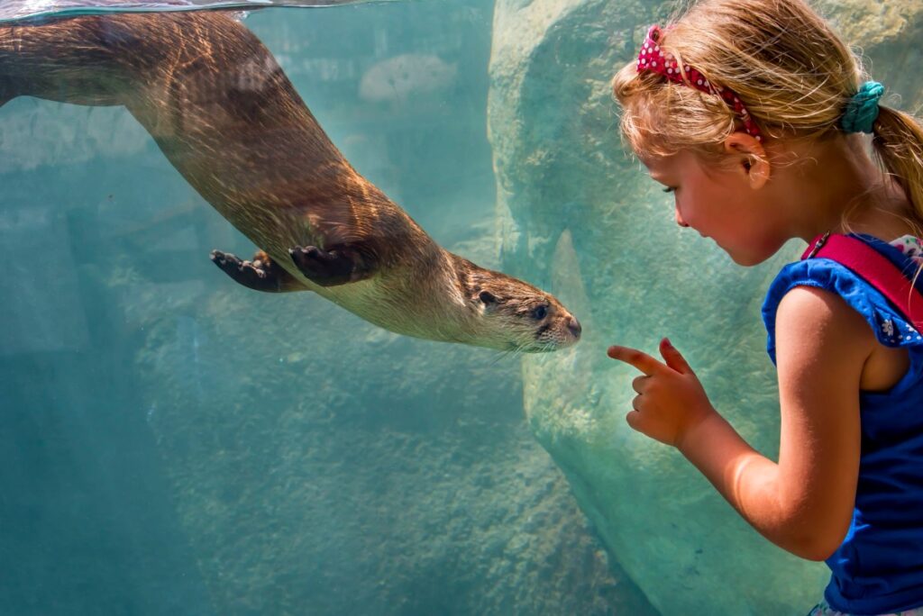 Wild Connections - Milwaukee County Zoo