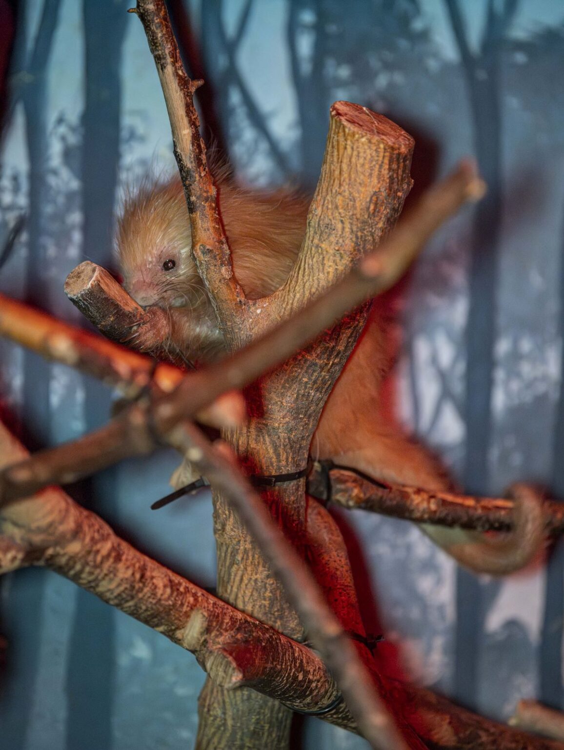 About Us - Milwaukee County Zoo