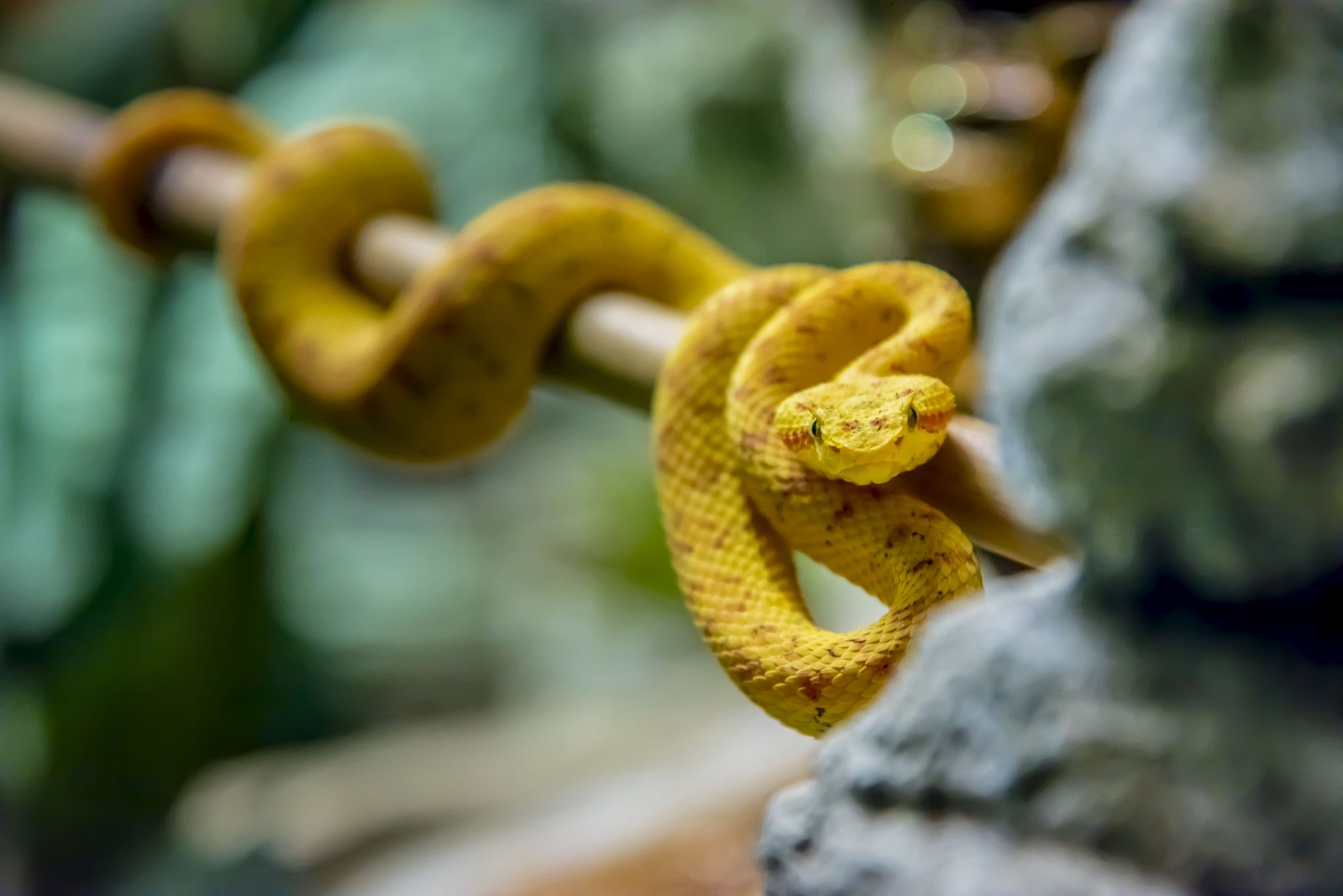 Aquatic & Reptile Center Archives - Milwaukee County Zoo