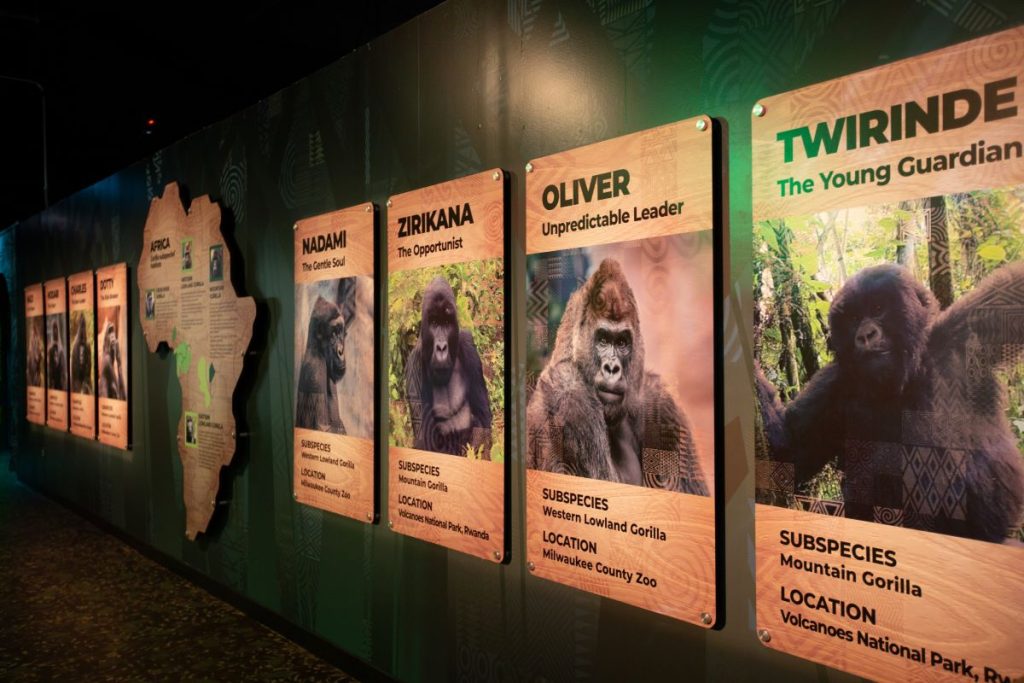 Gorilla Trek VR Experience - Milwaukee County Zoo