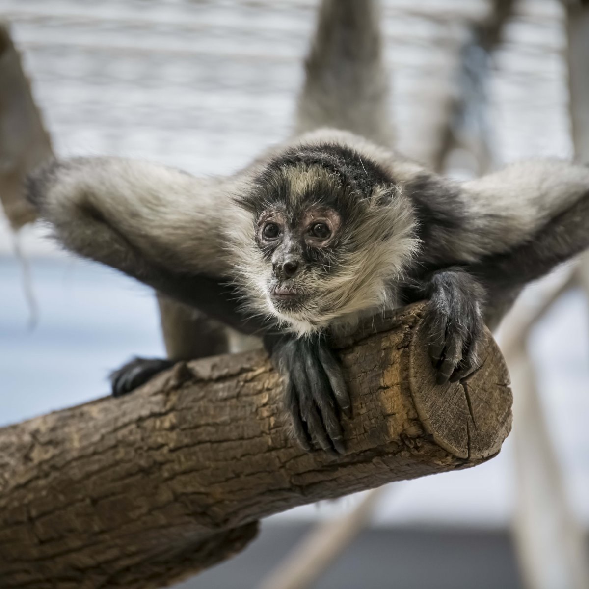 Home - Milwaukee County Zoo