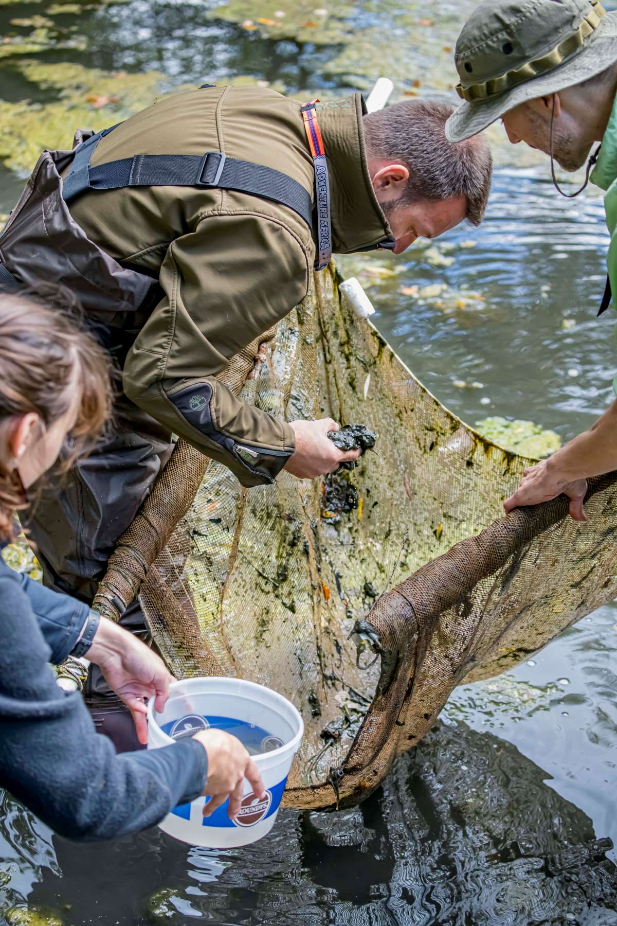 Northern Sunfish - A Unique Project and Partnership - Milwaukee County Zoo