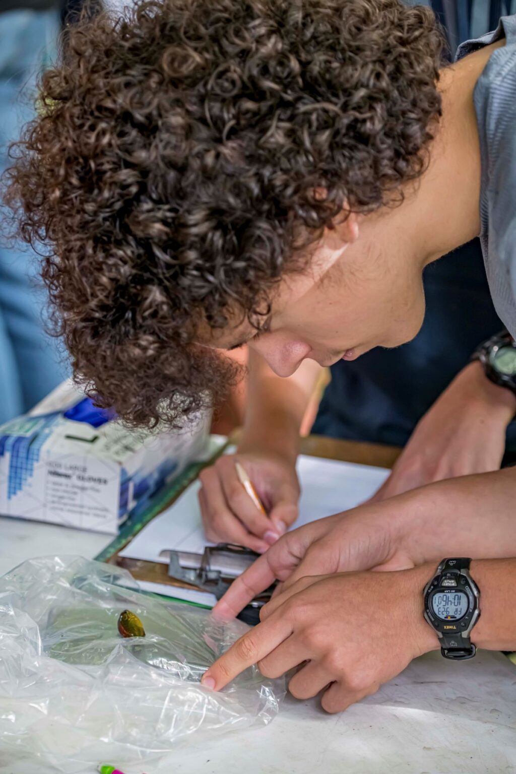Northern Sunfish - A Unique Project and Partnership - Milwaukee County Zoo