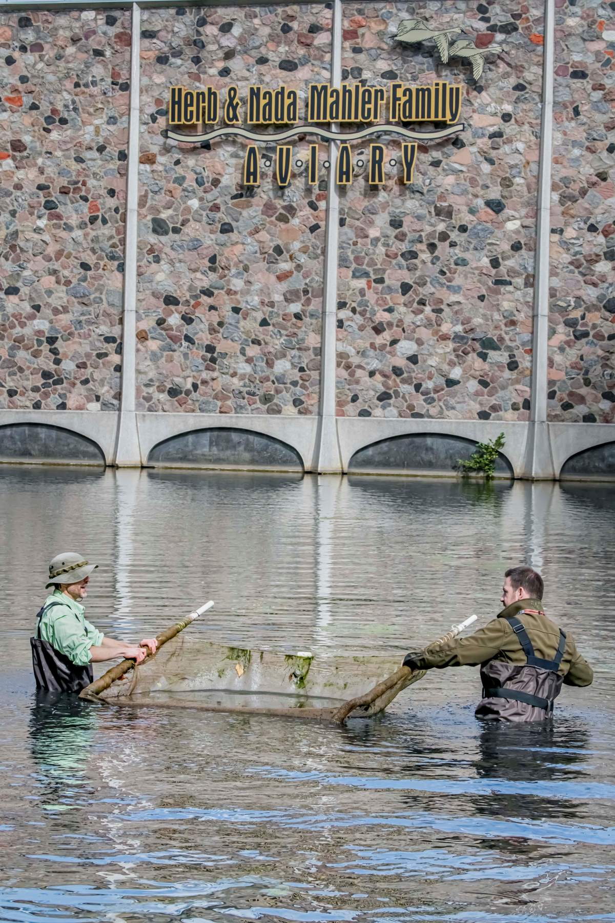 Northern Sunfish - A Unique Project and Partnership - Milwaukee County Zoo