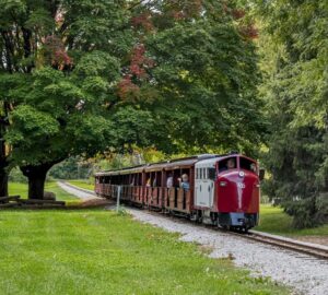 Experience - Milwaukee County Zoo