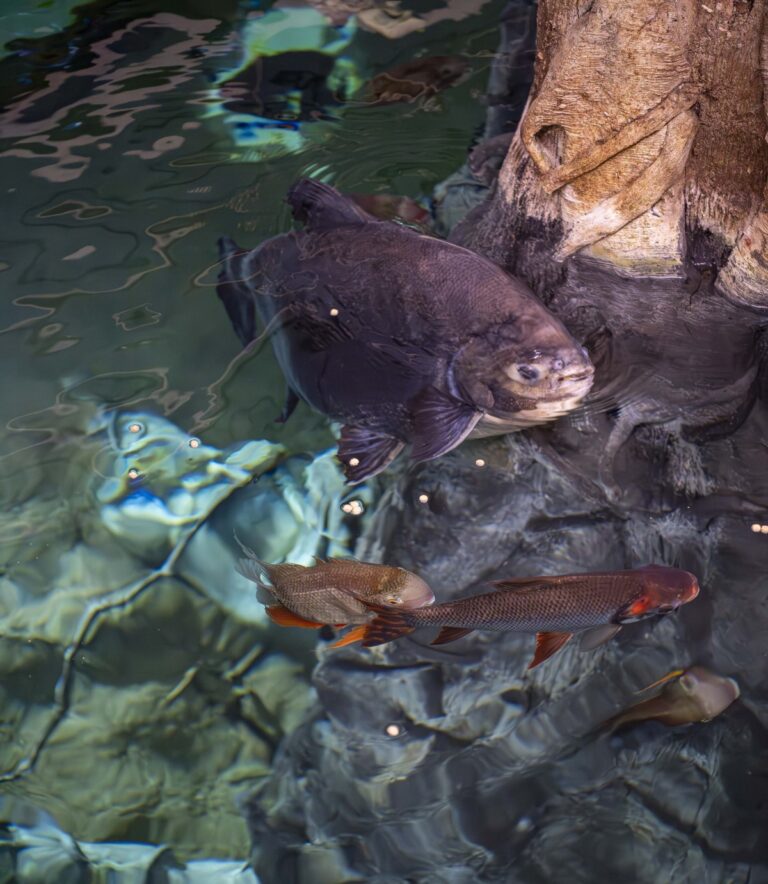 Wild Connections - Milwaukee County Zoo