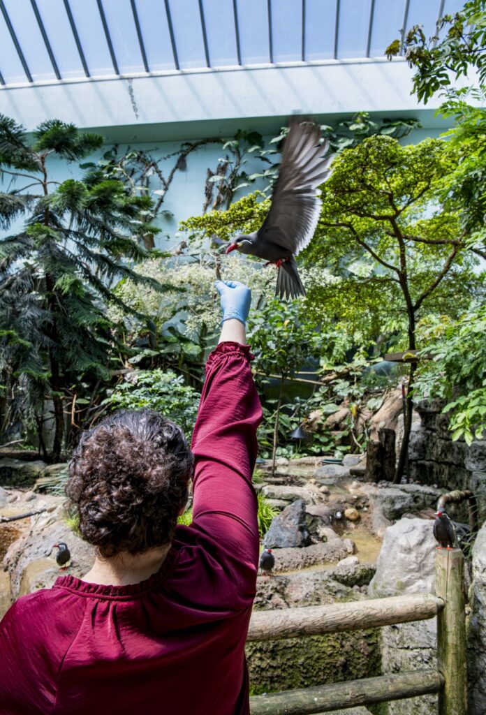 Wild Connections - Milwaukee County Zoo