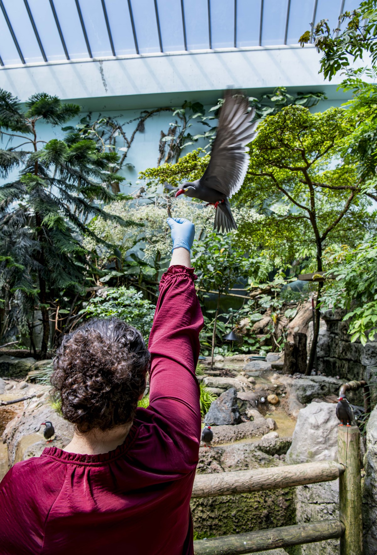 Wild Connections - Milwaukee County Zoo