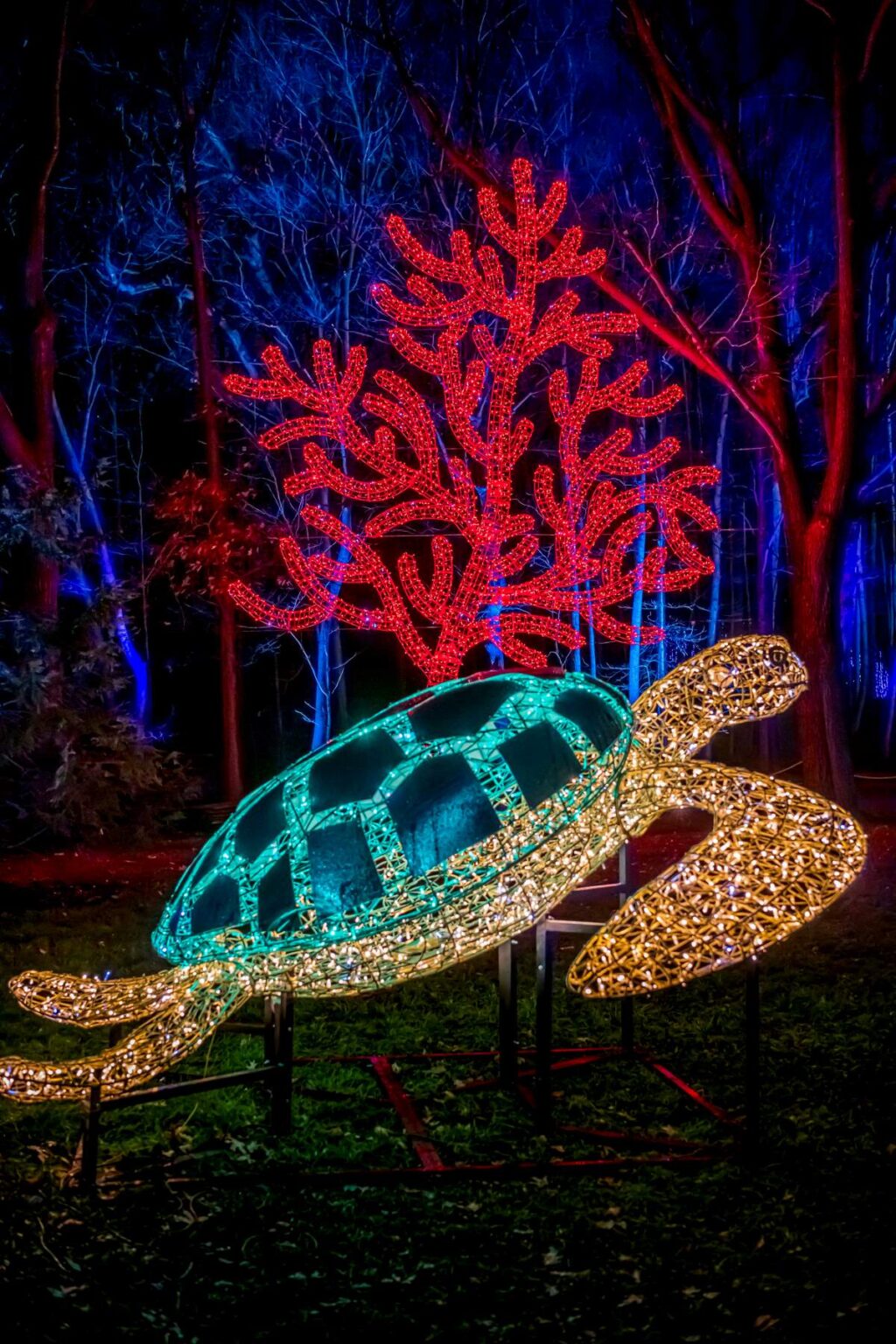 Wild Lights - Explore - Milwaukee County Zoo