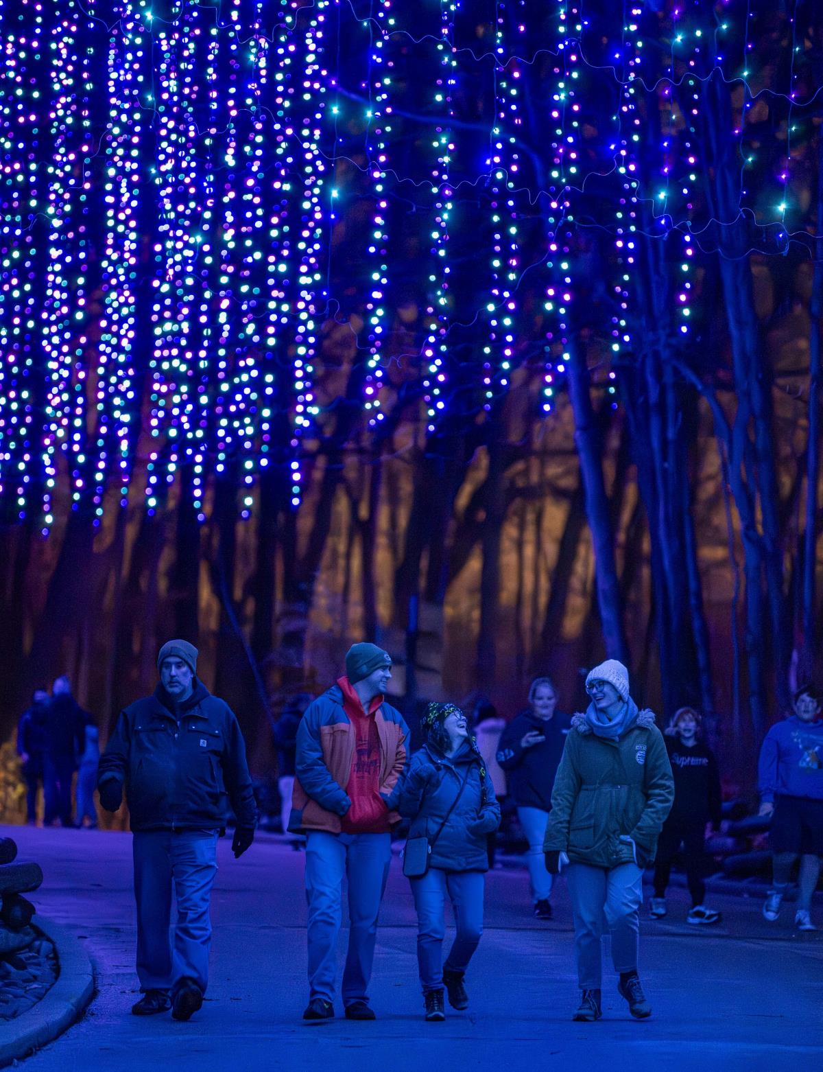 Wild Lights - Explore - Milwaukee County Zoo