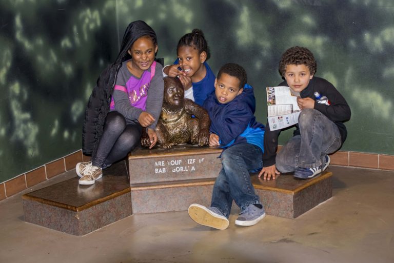 Field Trips - Milwaukee County Zoo